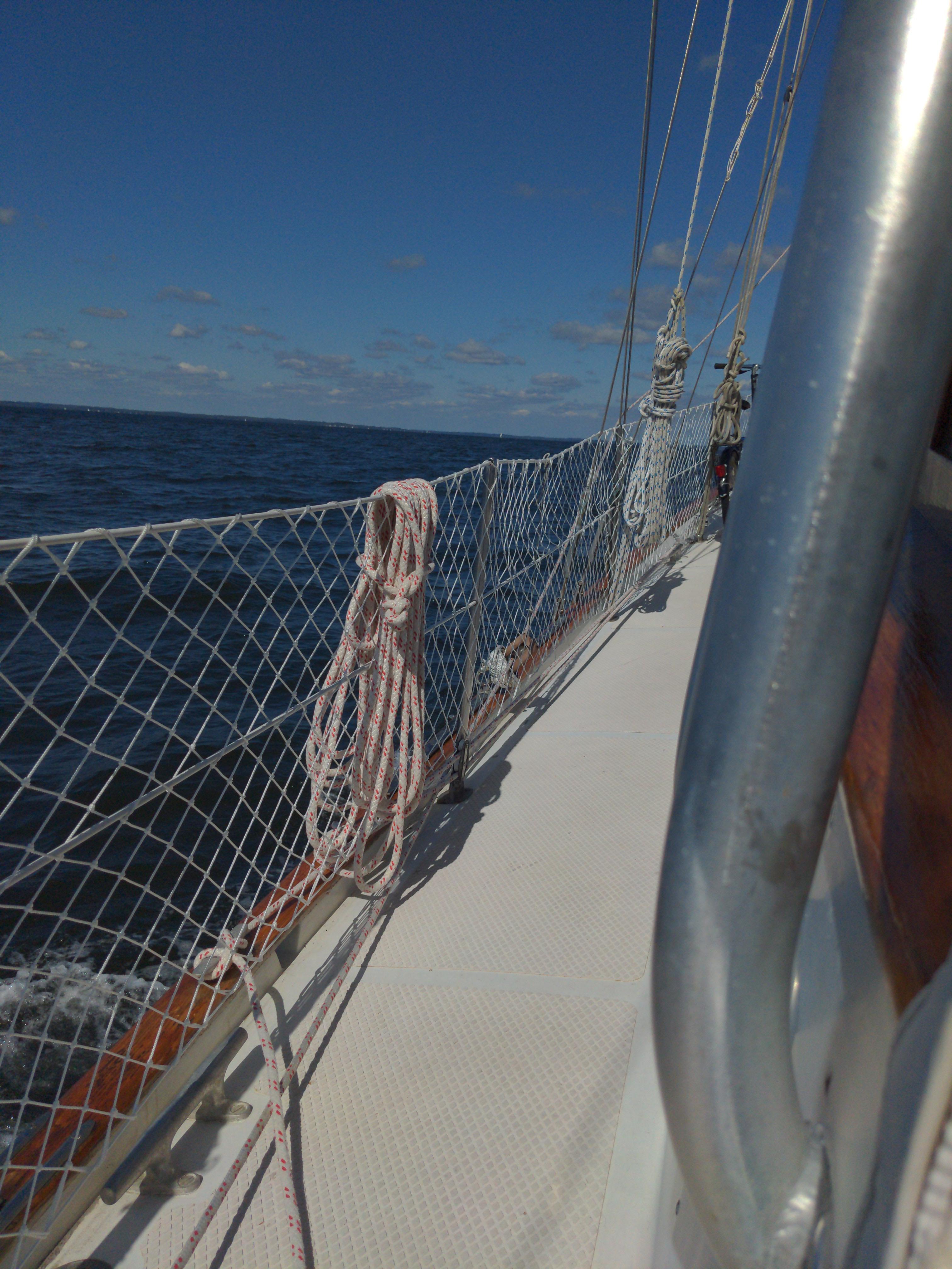 Lifeline Netting 24" - 32" in Height